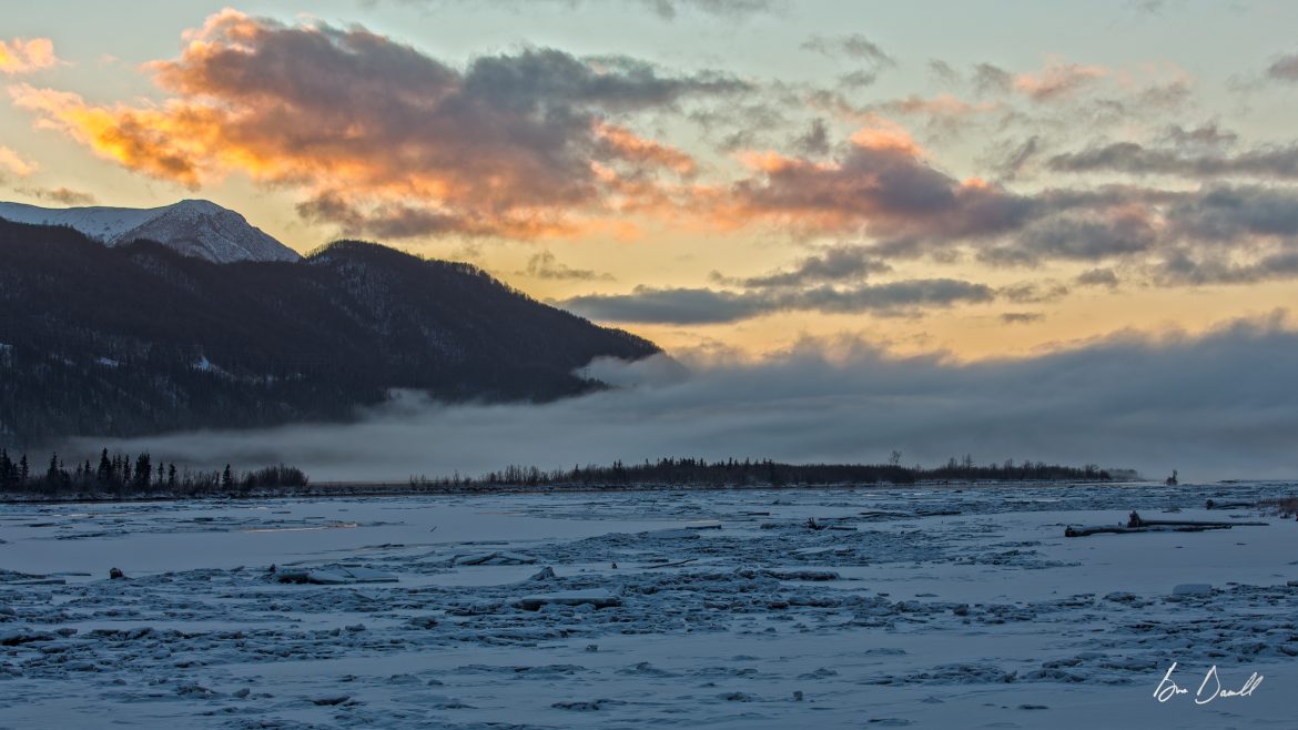 Your Ultimate Guide: The Best Time of Year to Visit Alaska