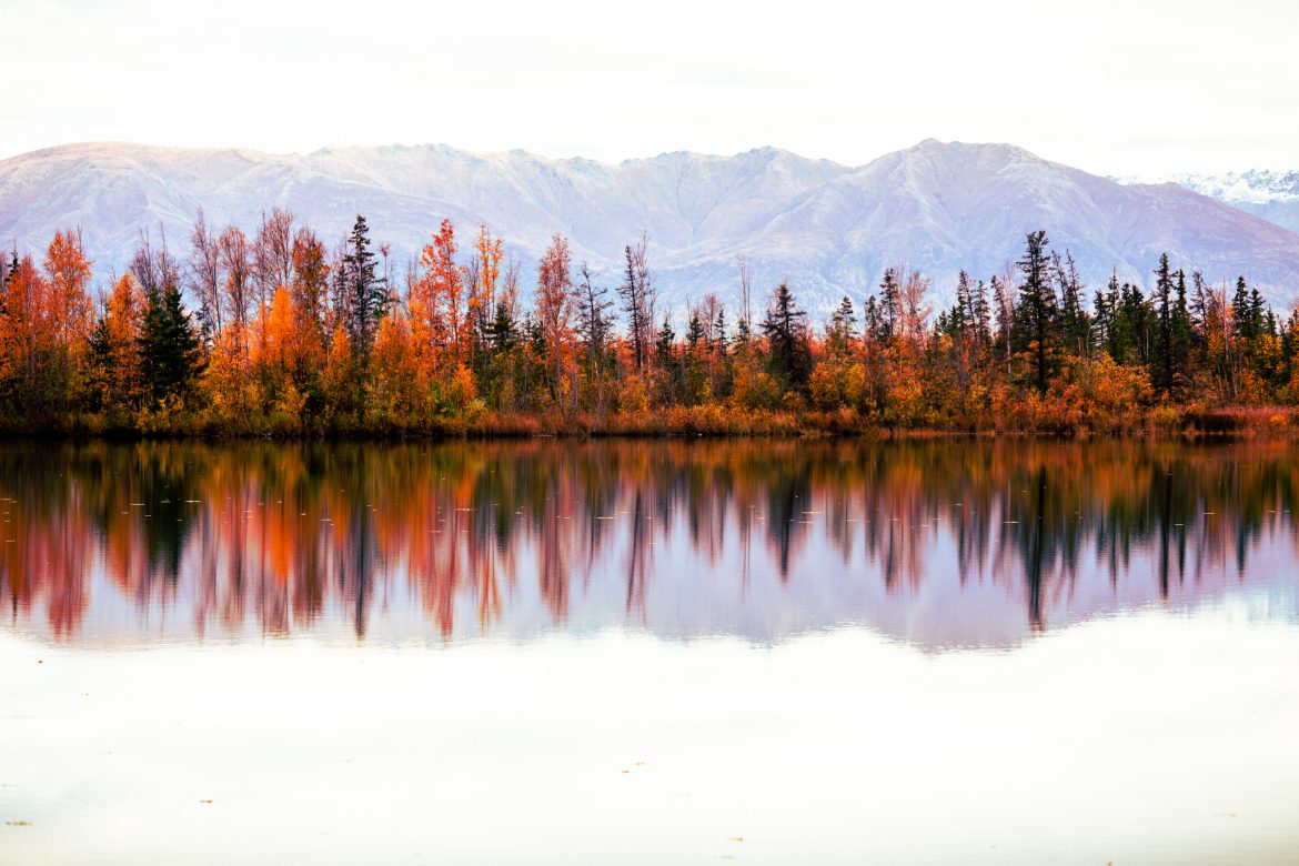 Fall Foliage: Everything to Know About Visiting Alaska in Fall