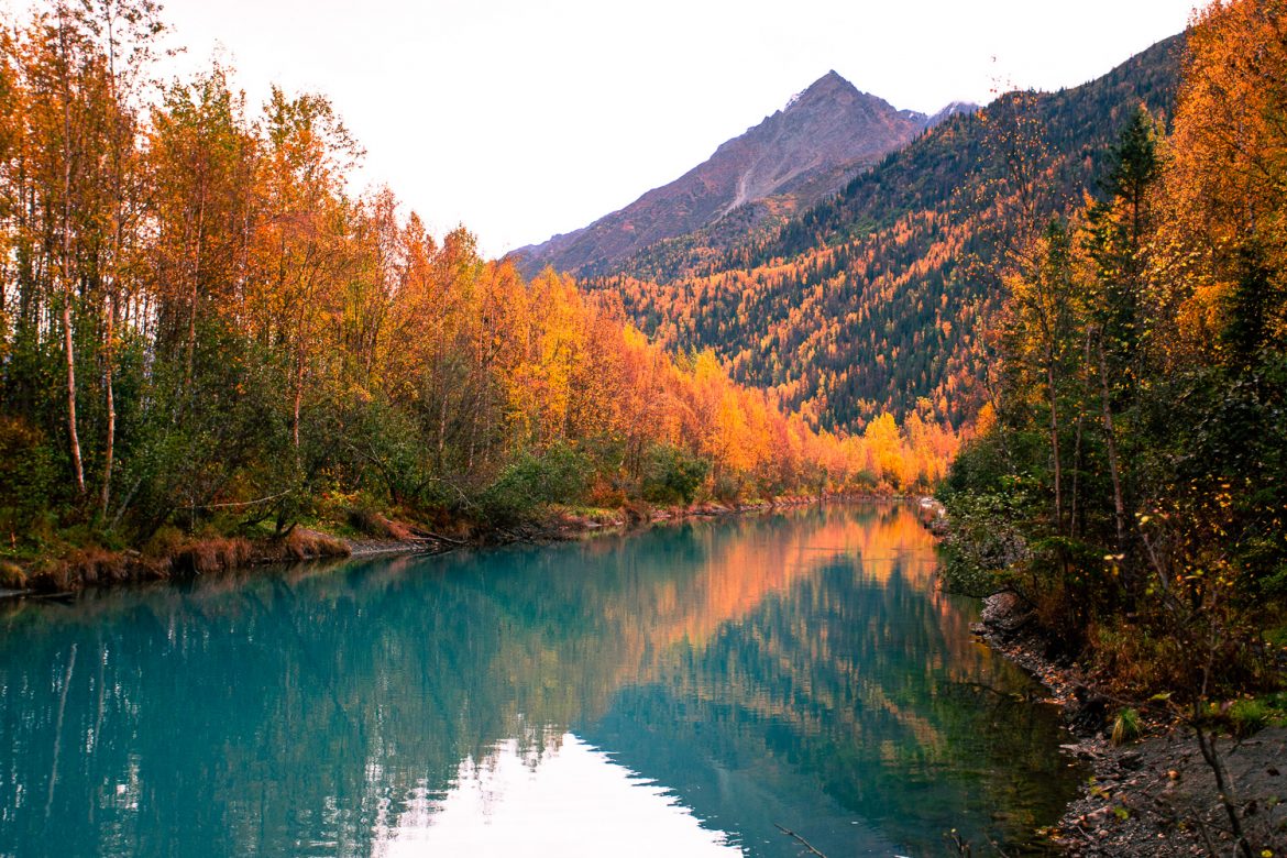 Fall Foliage: Everything to Know About Visiting Alaska in Fall