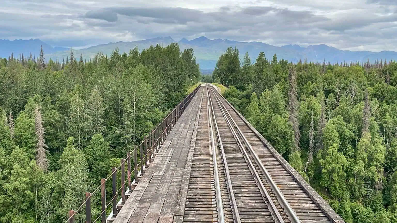 Anchorage to Denali By Train: Your Guide to the Princess Rail Tour