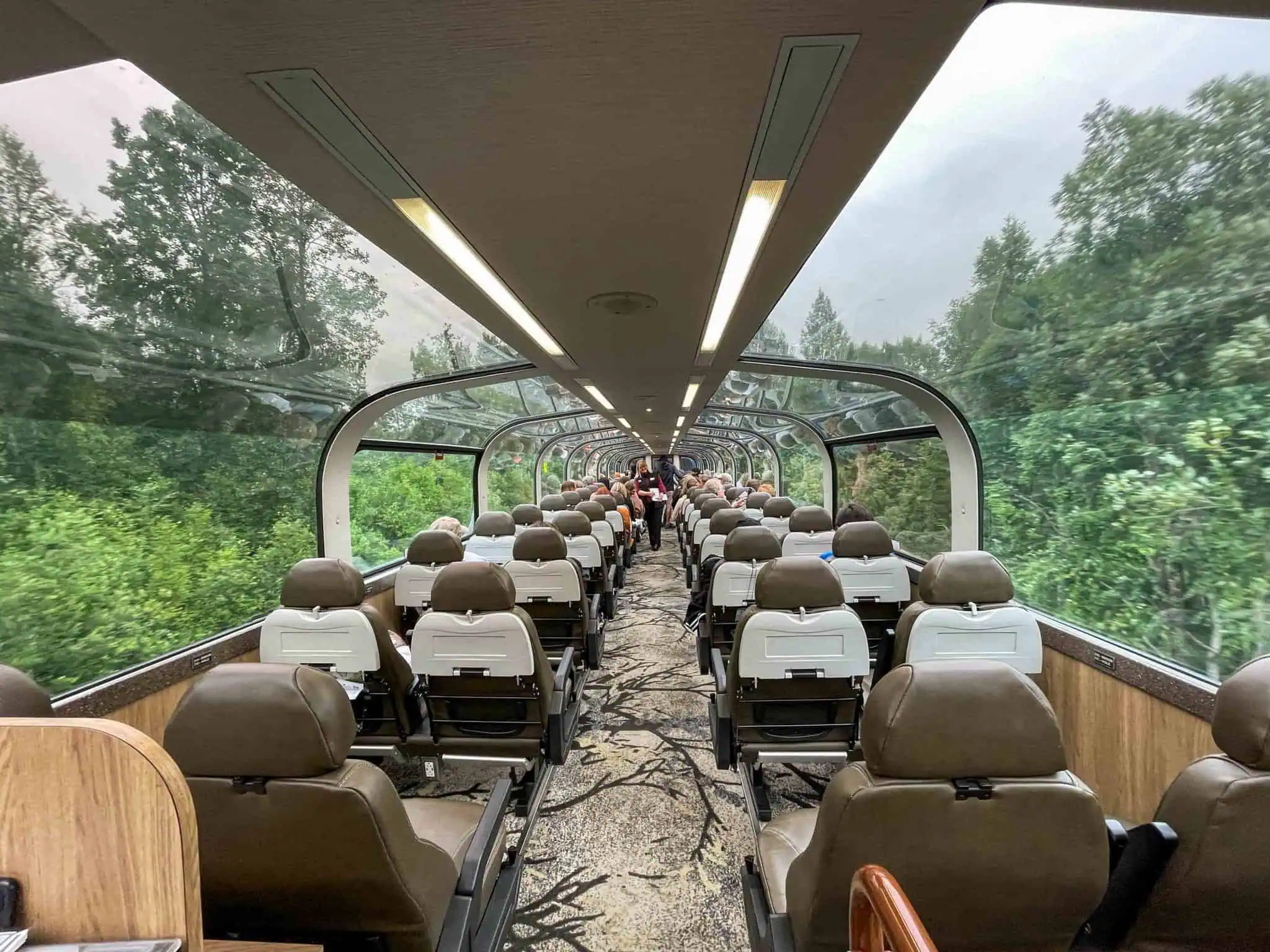 Anchorage to Denali By Train: Your Guide to the Princess Rail Tour