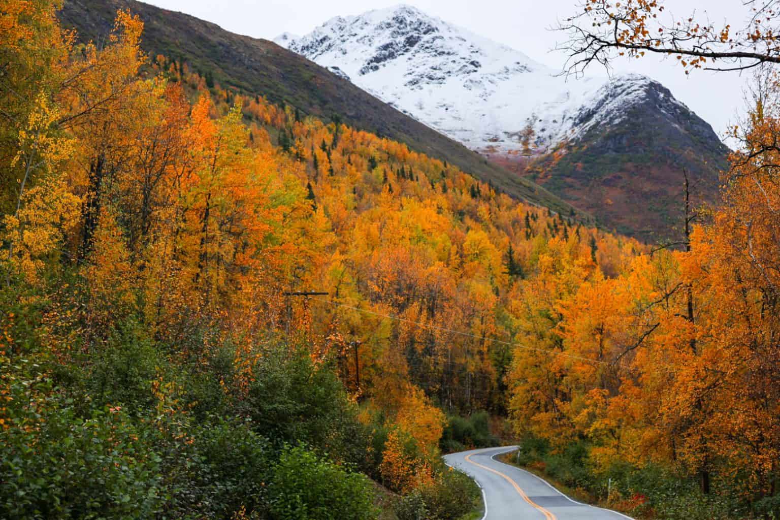 Fall Foliage: Everything to Know About Visiting Alaska in Fall
