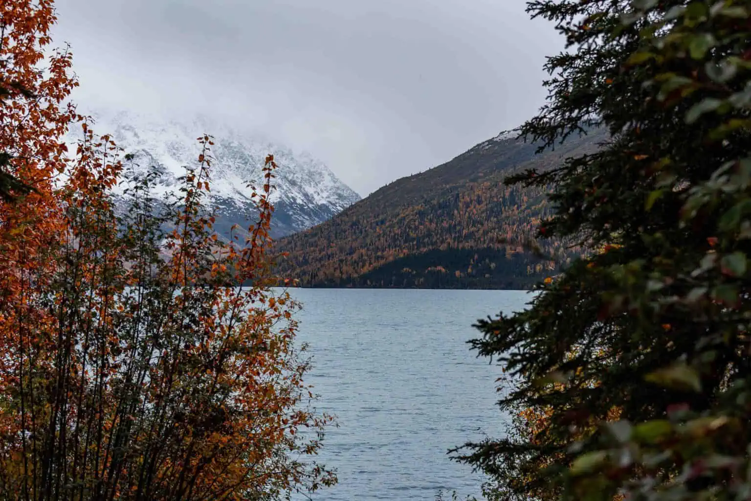 Fall Foliage: Everything to Know About Visiting Alaska in Fall