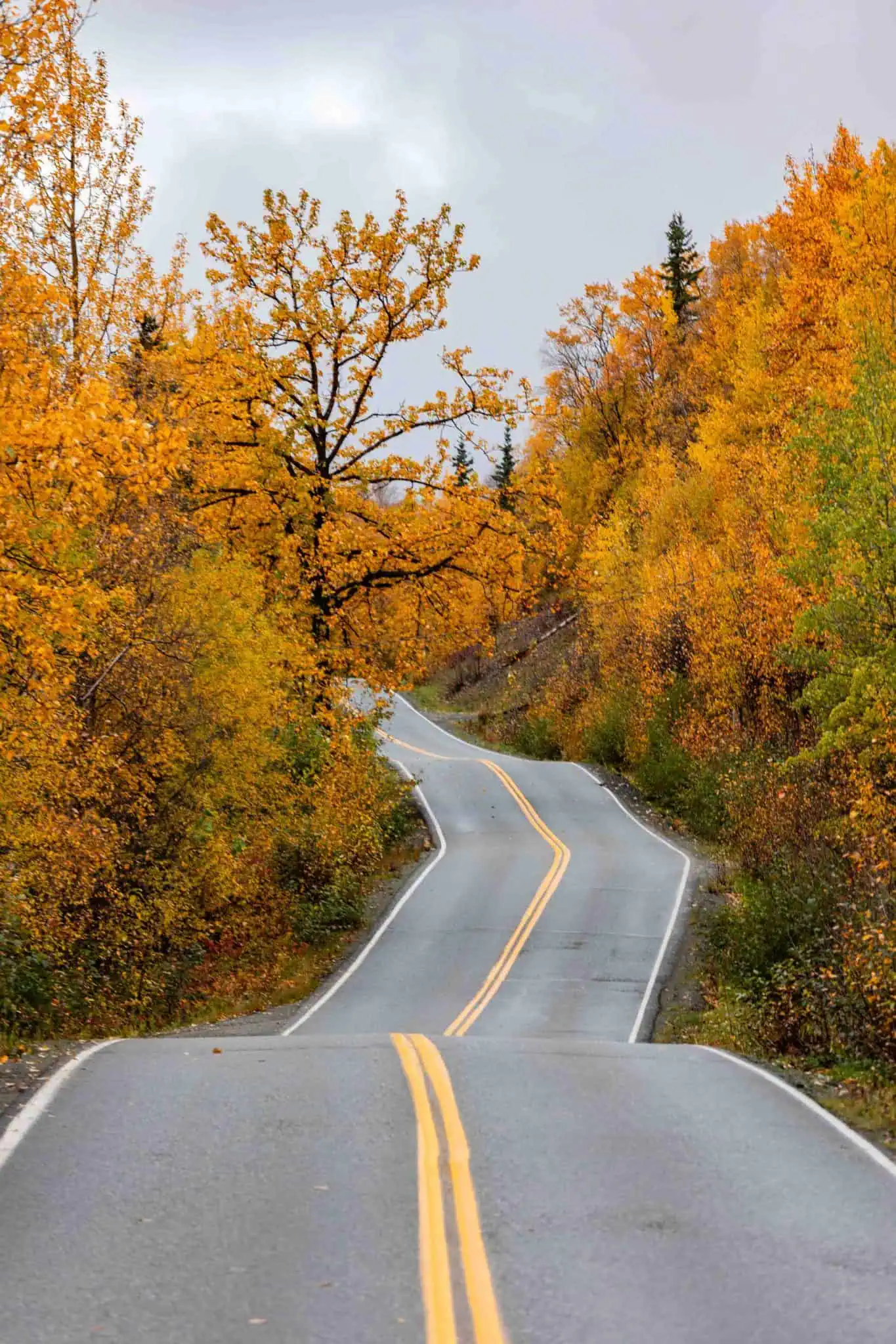 Fall Foliage: Everything to Know About Visiting Alaska in Fall