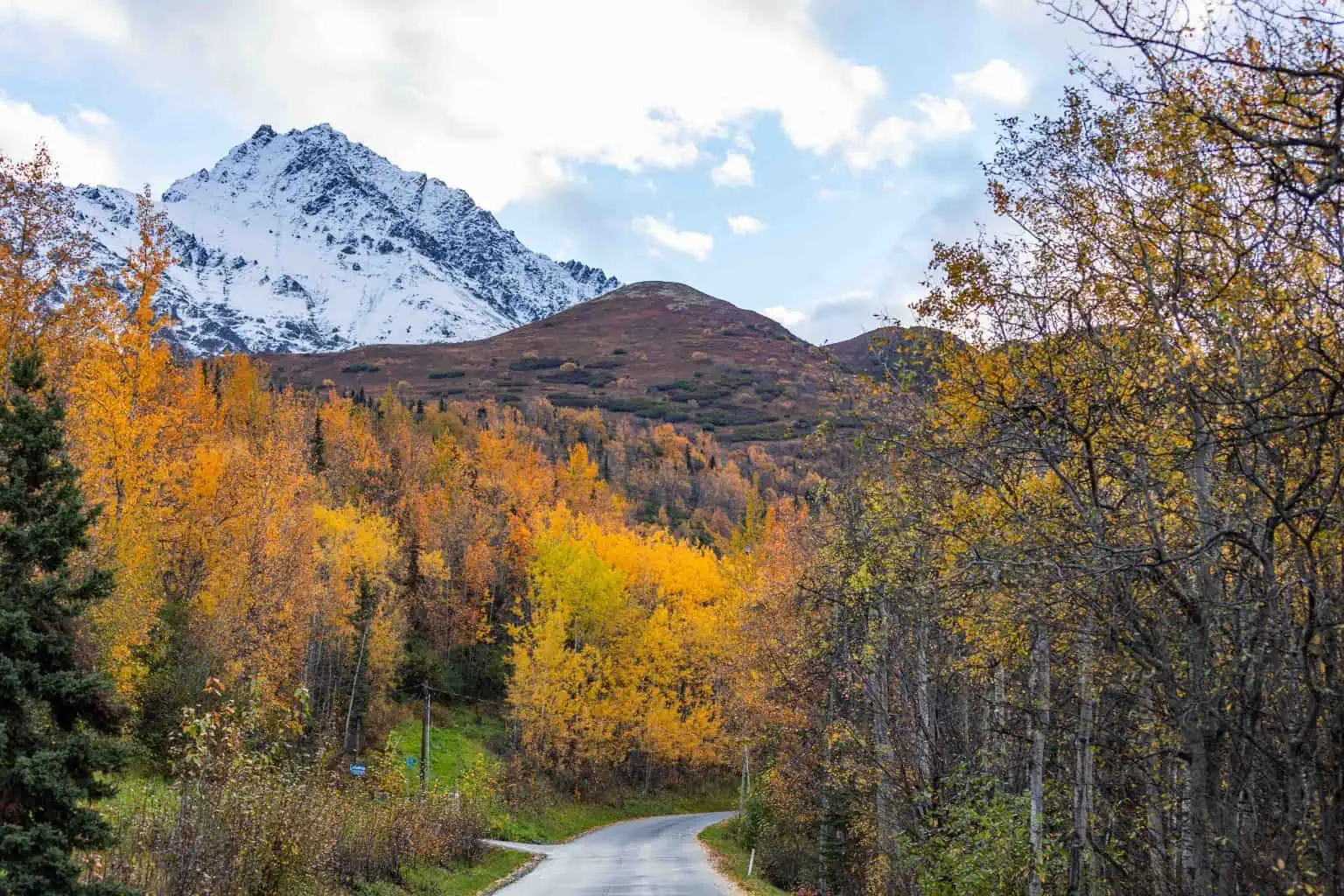 Fall Foliage: Everything to Know About Visiting Alaska in Fall